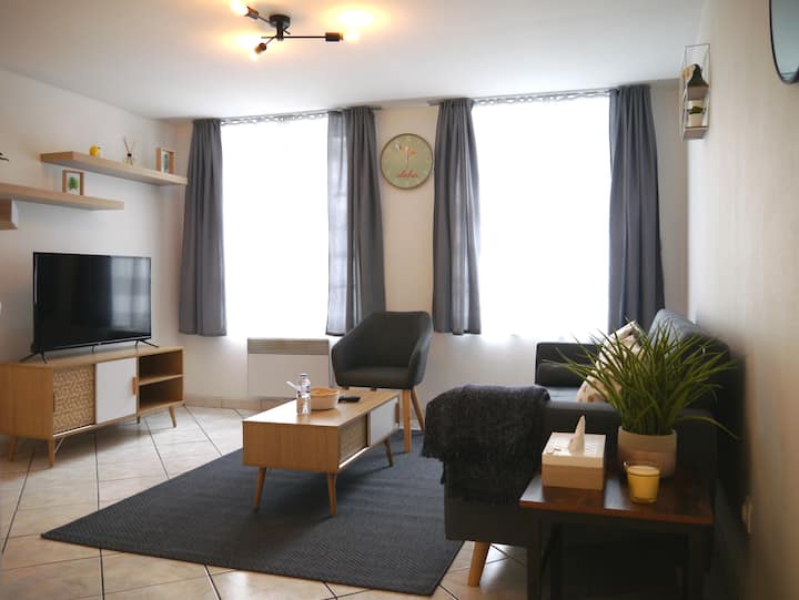 Les Cosy De Nancy - Le Repère Du Roi Stanislas 4* - Nancy