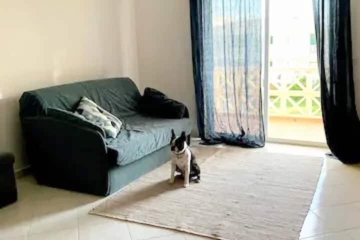 C Dreams - Comfortable And Luminous Apartment - Albufeira