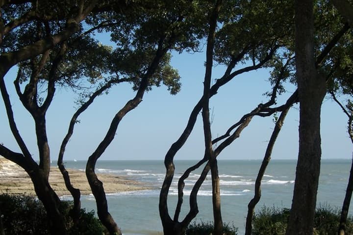 Joli T2, 40 M2 , 3*, Bord De Mer, Balcon Terrasse. - Charente-Maritime
