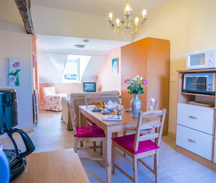 Appartement Air-conditionné à Sancerre - Sancerre