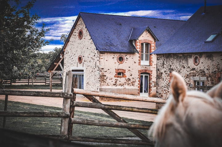 Gîte "Le Little" à Contigné - Thomas Ranch - Maine-et-Loire