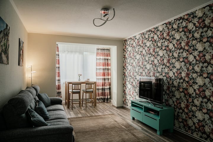 Ruhige 2 Zim. Wohnung 50 Qm./wifi/netflix - Hanovre