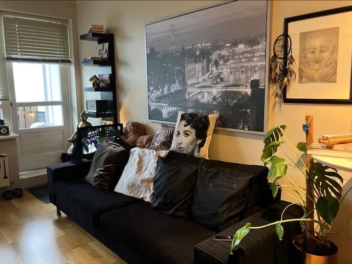 A Comfortable Easy Stay In Central Reykajvík. - Reykjavik