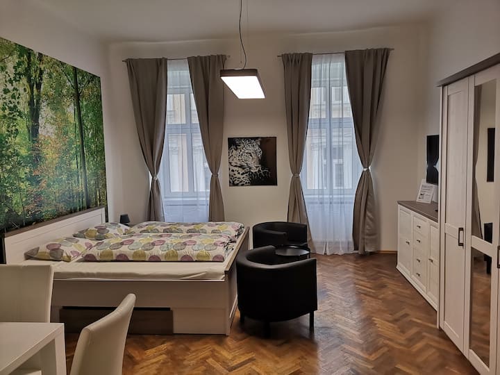 Charming Vienna Studio Near Schönbrunn - Wien