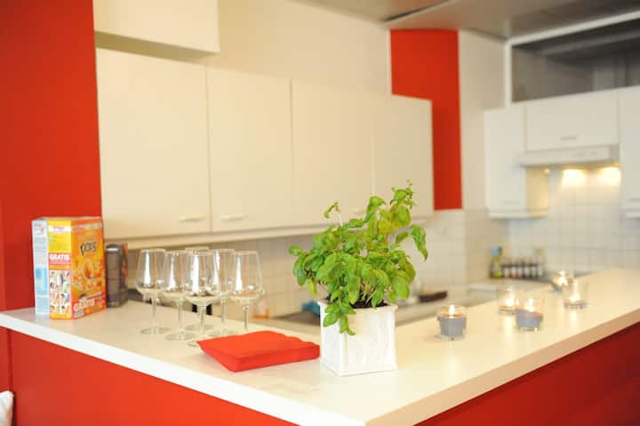 Large One-bedroom Apartment (Vub-student) - Auderghem