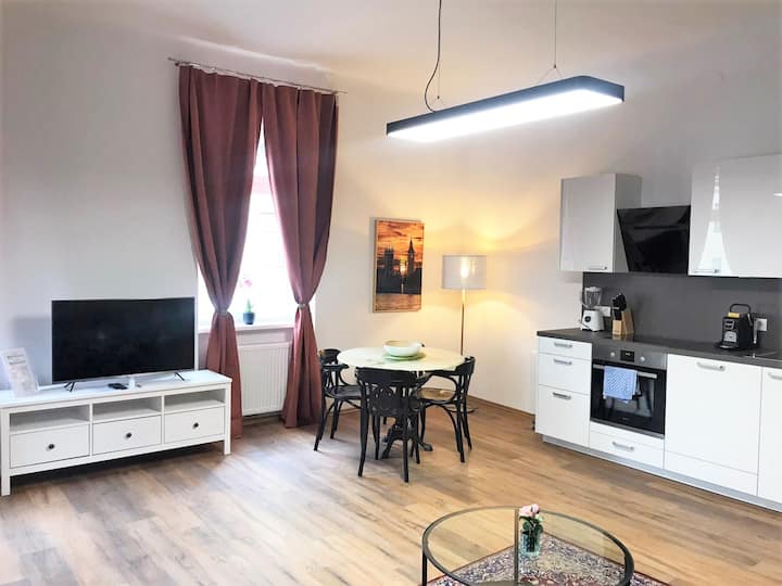 Renovated Vienna Apartment Near Transport - Viyana