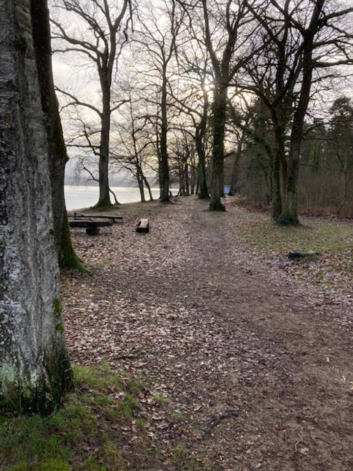 Jhkjhkklhjk - Friburgo