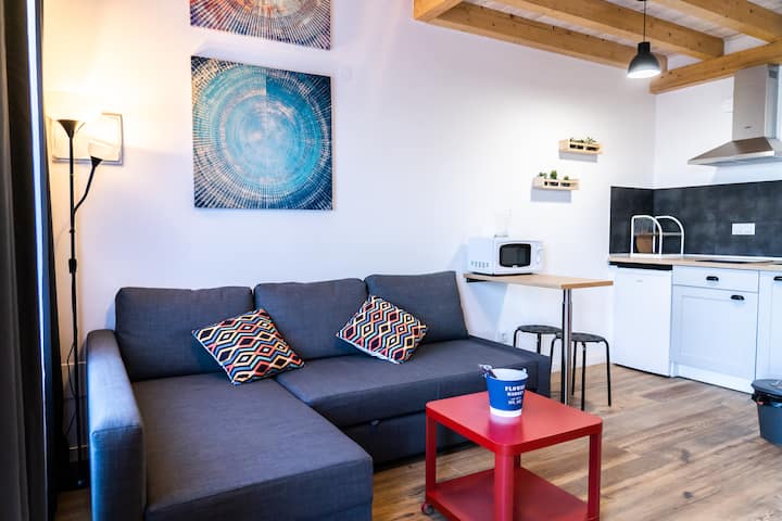 Apartamento Las Secuoyas Loft - Cabezón de la Sal