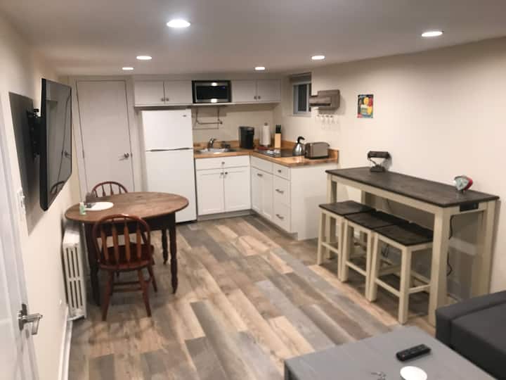 Ronkonkoma Bsment, Big Yard, Ping-pong, Bbq - Islandia, NY