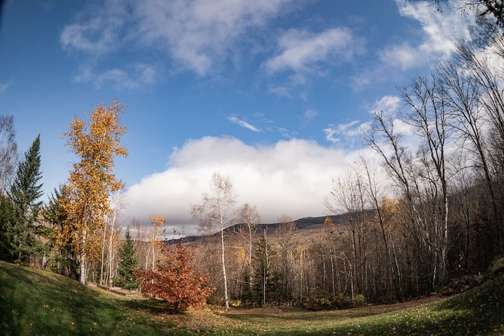 Cozy Getaway With Mountain Views & Chef’s Kitchen - Braintree, VT