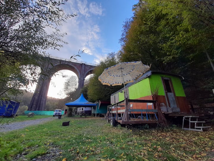 Louloudjy "Le Gitan" - Bertrix