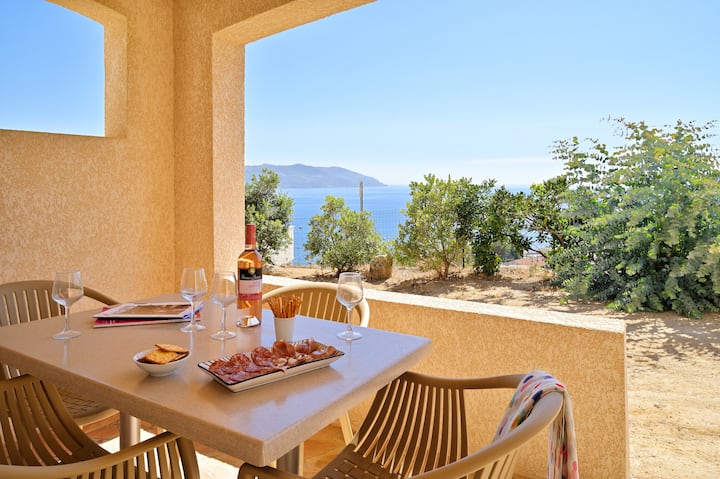 Roc E Mare Tiuccia - T2 Vue Mer (3 Personnes) - Tiuccia