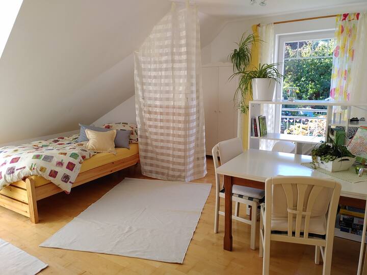 3 Helle Große Zimmer, Eigene Miniküche Od. Gem.-kü - Bad Pyrmont