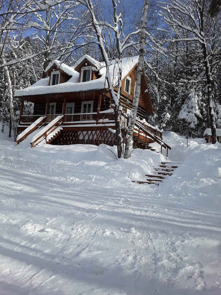 Vraie Maison Ancestrale/log House_laurentians Area - Saint-Hippolyte