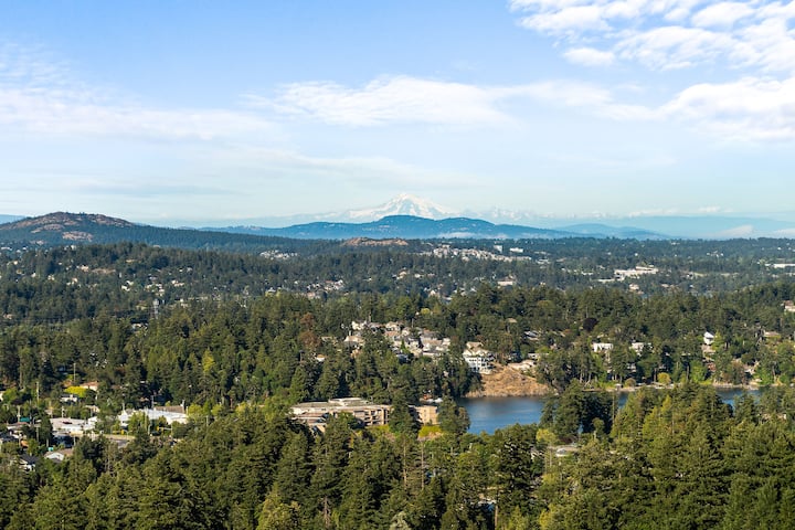 The Perch On Mill Hill - Langford