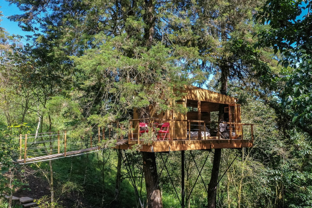 The most spectacular treehouse in Colombia. - Treehouses for Rent in ...
