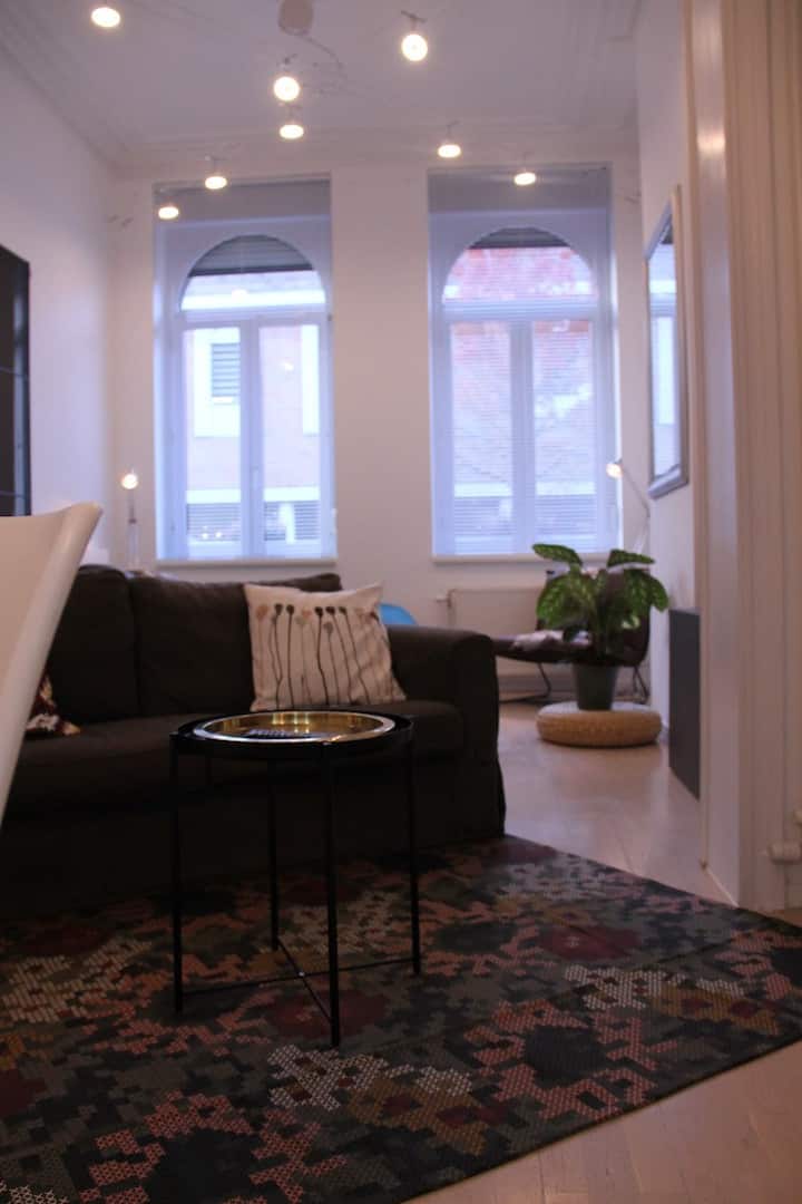 Eu Area - Superbe Studio Complètement Rénové - Ixelles
