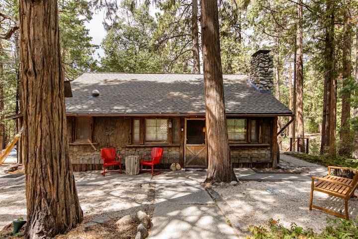 Cozy Mountain Getaway In The Pines - Idyllwild-Pine Cove, CA