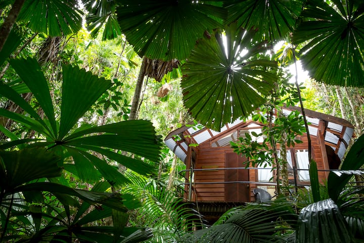 Rainforest Hideaway At Daintree Wilderness Lodge - Daintree