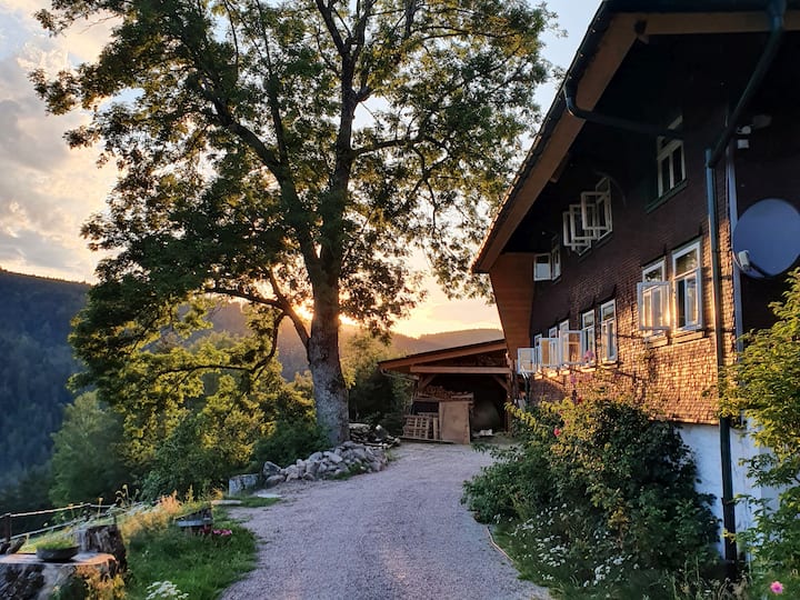 Ferienwohnung Lasse - Triberg