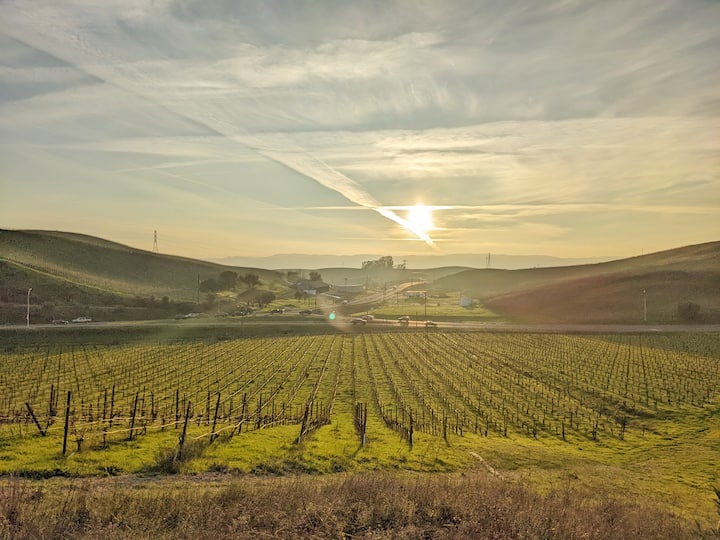 1 Br Suite With Kitchen At Napa Resort - Napa Valley, CA