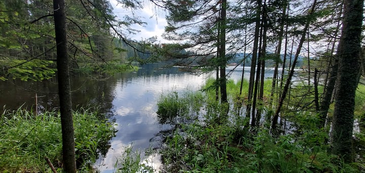 Chalet Armonia - Tranquillité Au Milieu Du Nature - Sainte-Agathe-des-Monts