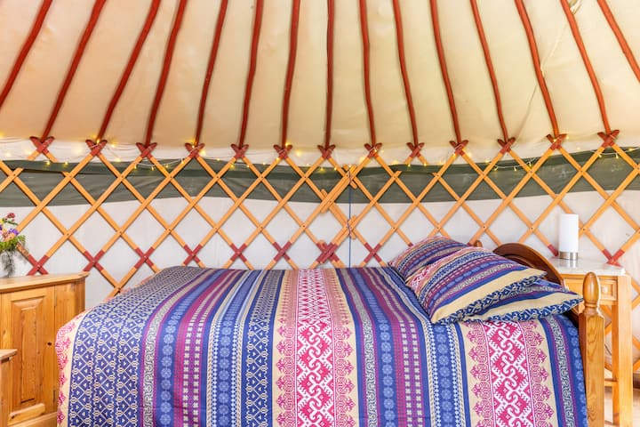 2 Cosy Yurts, Stunning Views - Totnes/ Dartmouth - Totnes