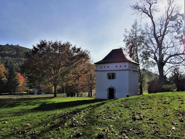 Pigeonnier Basque  Inspirant - Mauléon-Licharre