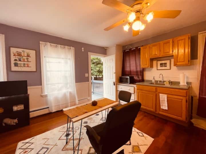 Top Cambridge 3bed Apt 1parking&private Entrance - Cambridge, MA