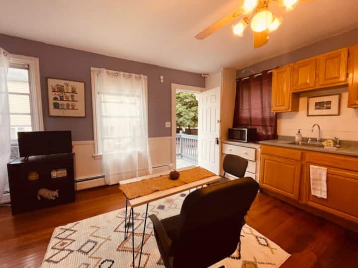 Best Value 3 Bedroom Apt In Cambridge Close To T - Lexington, MA
