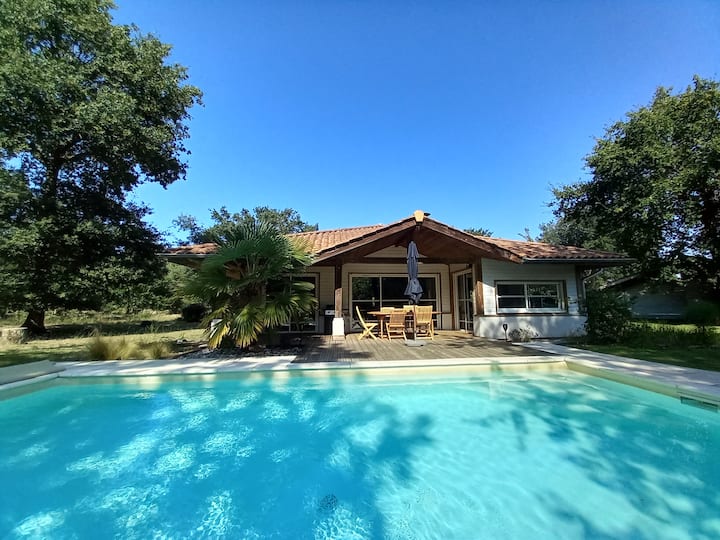 L'océan Au Bout Du Sentier... - Moliets-et-Maa