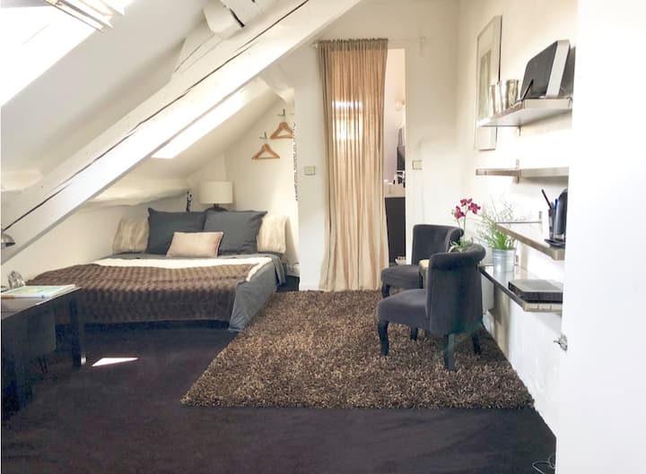 Studio Cosy & Connecté, Au Coeur De Fontainebleau - Fontainebleau
