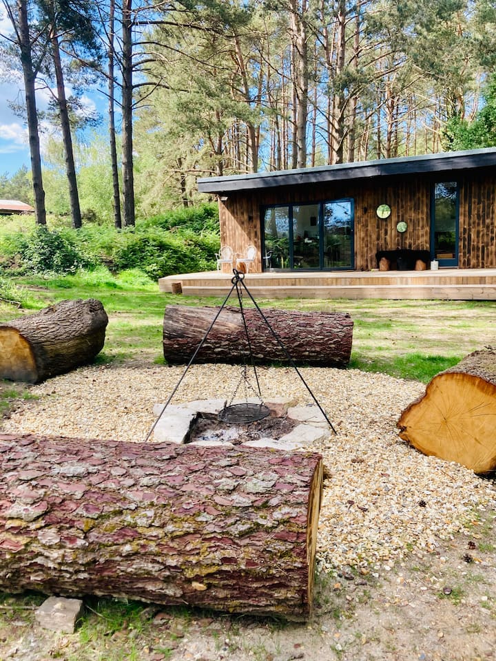 Penny Bun, A Little House In The New Forest - Ringwood