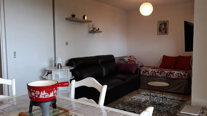 Studio Du Schuss En Surplomb Lac Leman - Bernex
