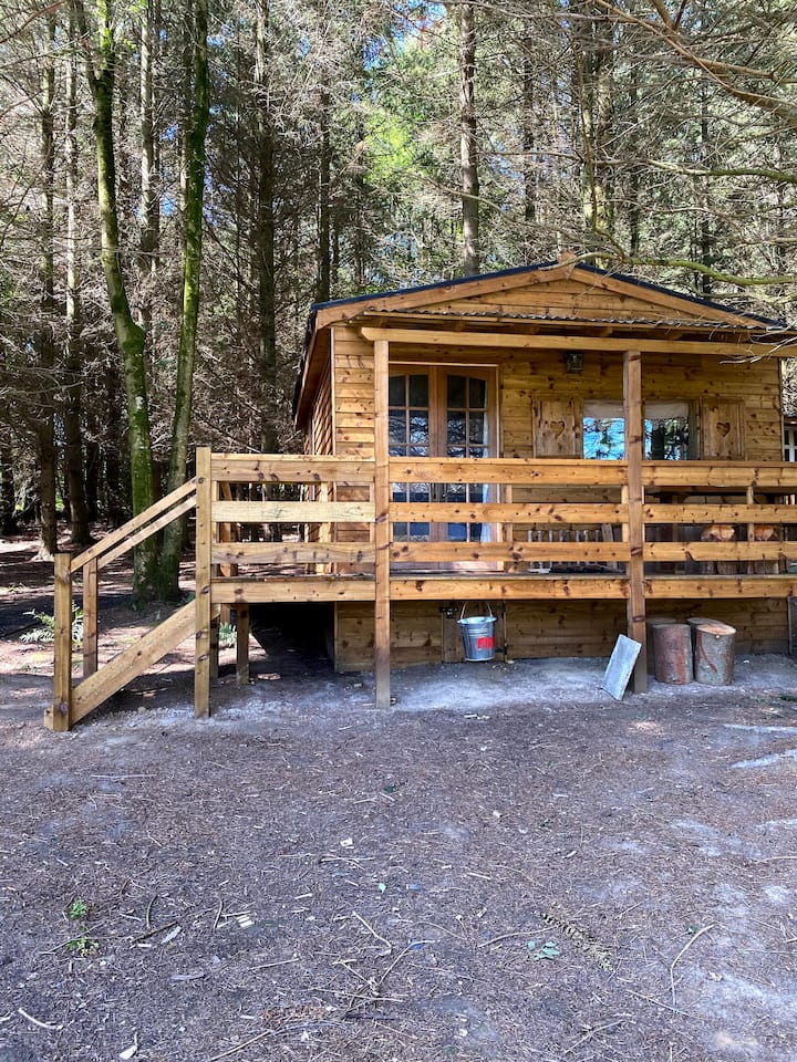 The Pheasant Field - Cosy Woodland Cabin - Battle