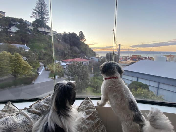 Maison Blue - Garden Apartment- Pet Friendly - Napier