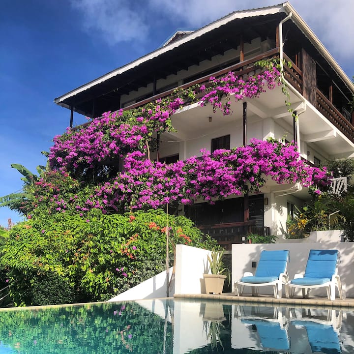 Ocean View House, 4 Bedrooms, Pool - Saint Lucia