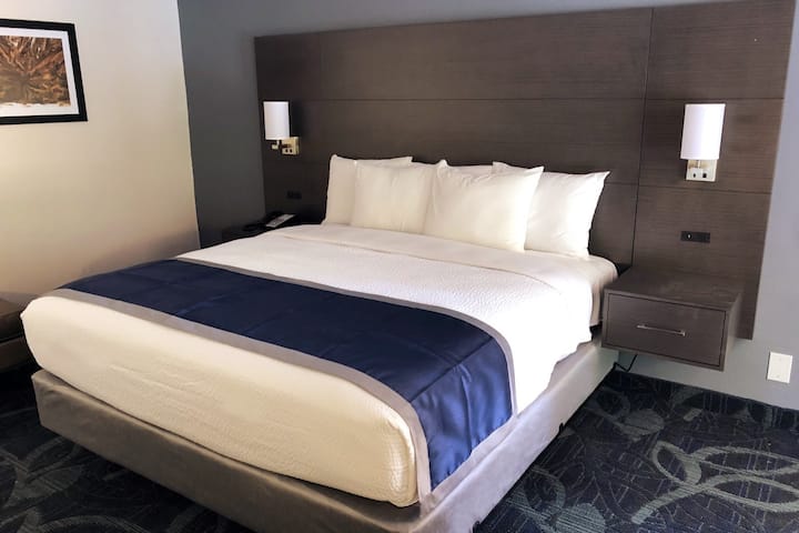 Pet Friendly King Room With Private Bathroom - Felton, CA