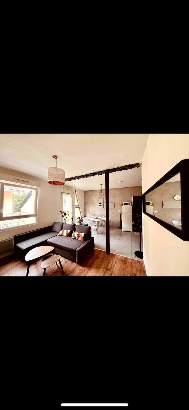 Cosy Flat à 2 Pas De Strasbourg - Schiltigheim