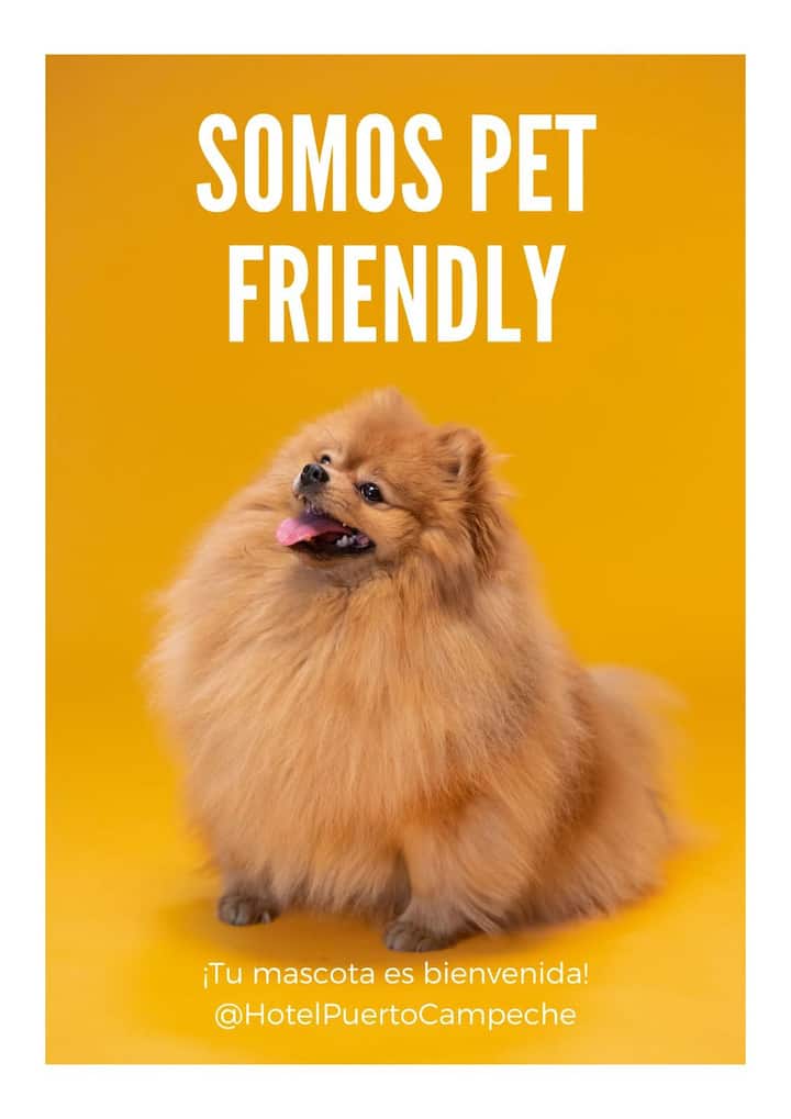 Hotel Puerto Campeche - Ciudad del Carmen