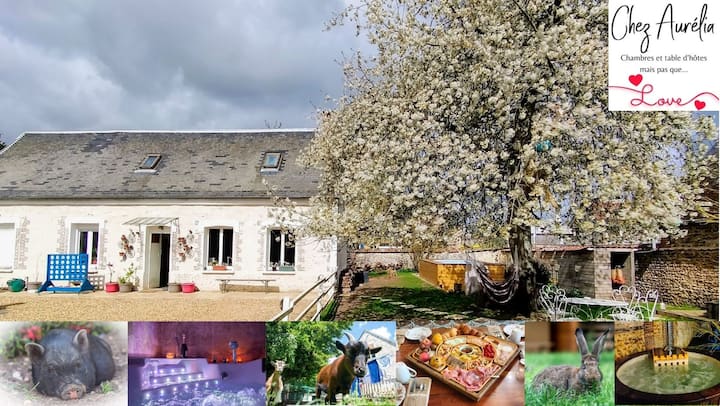 Maison D'hôte Privatisée - Anet