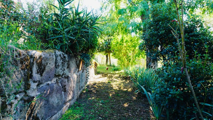 Un Coin De Paradis à 15 Min Du Centre - Brive-la-Gaillarde
