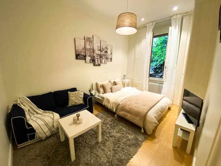 Nice Flat In Geneva Center (Fg) - Ginebra