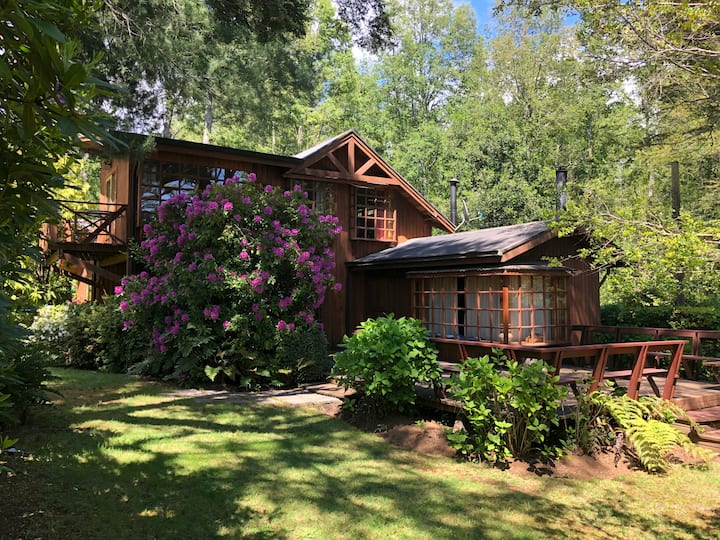 Amplia Casa Camino Villarrica Pucón, Sector Molco - Los Ríos