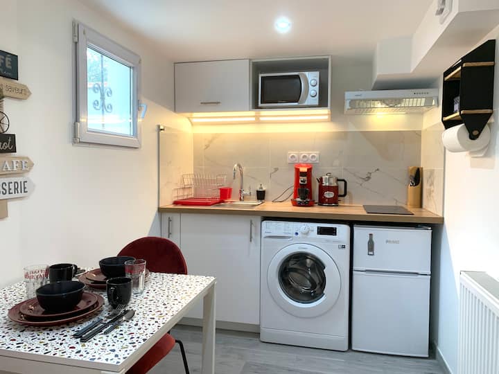 Studio Rez De Jardin Entre Paris Et Disneyland - Ibis Marne la Vallée Noisy