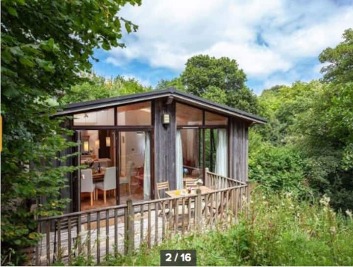 Treetops Chalet - Devon