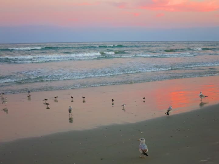 Beachside Retreat**steps To The Beach**heated Pool - Cocoa Beach, FL