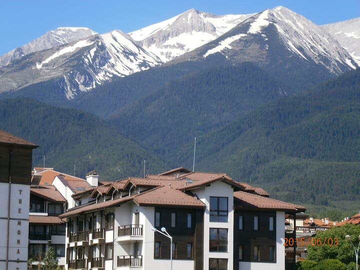 Уютен апартамент с прекрасен изглед в Банско - Bansko