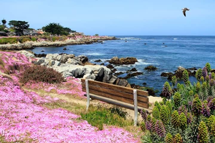 Ocean View - 4 Min. Walk To Monterey Bay Aquarium - Monterey, CA