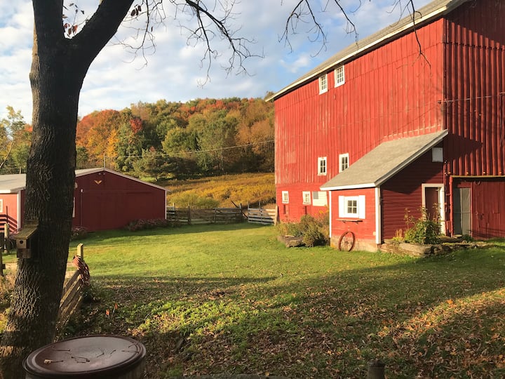 Winniebrook: A Breathtaking Upstate Retreat - Bovina, NY